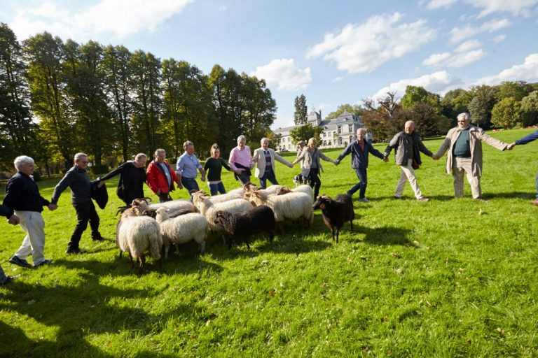 Workshop schapen drijven - TreaT Events